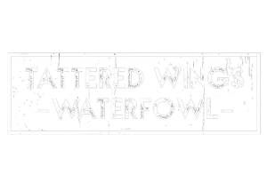 Guided Waterfowl & Fishing Trips | Tattered Wings Water and Fowl